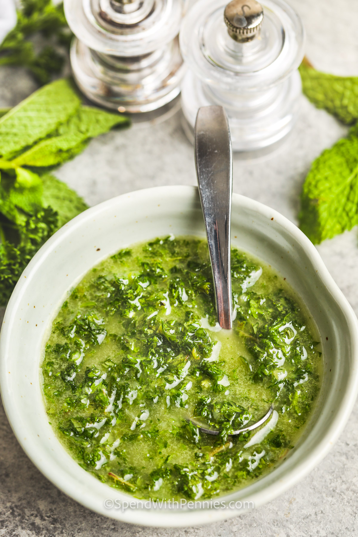 Salsa de menta - Cocina Facil